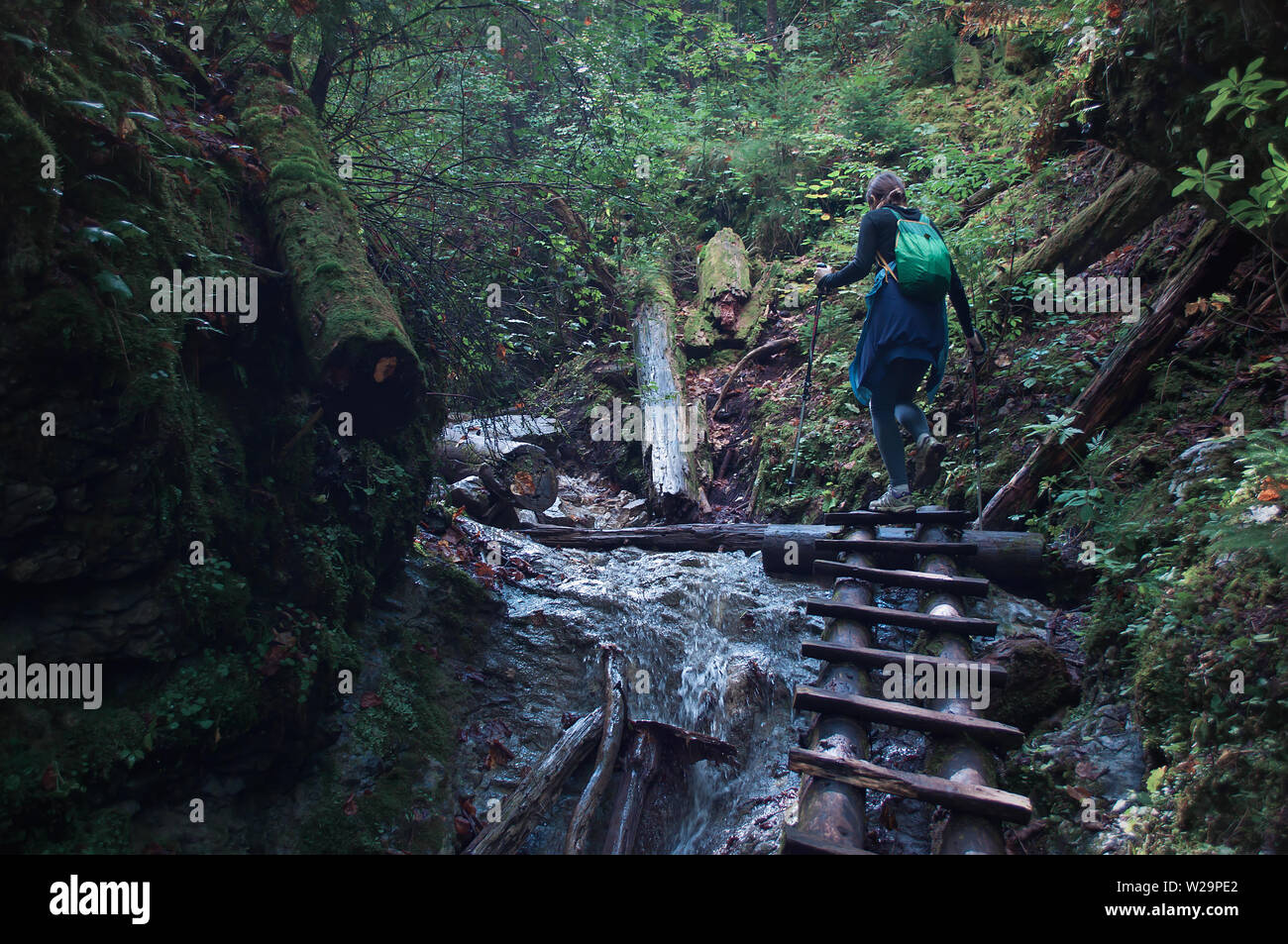Woman fall ladder hi-res stock photography and images - Alamy