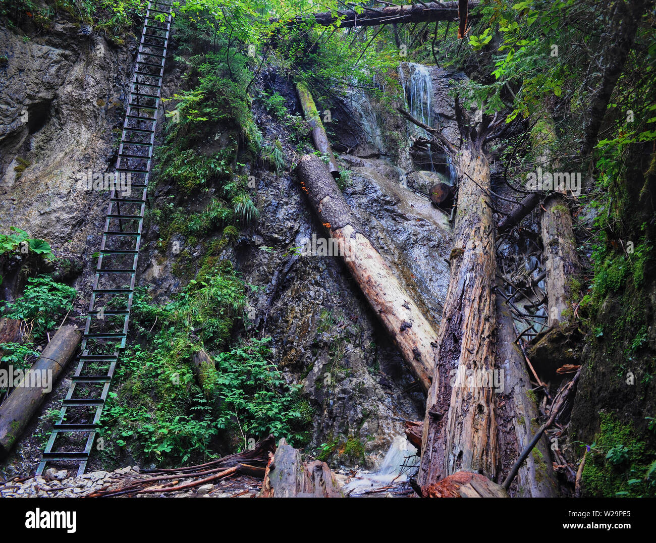 View of Strakov waterfall, long metal ladder. Water falling down logs ...