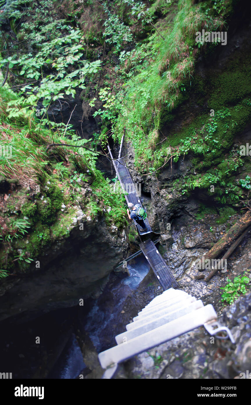 Back of one man on an iron ladder in the Sucha Bela canyon, Slovensky ...