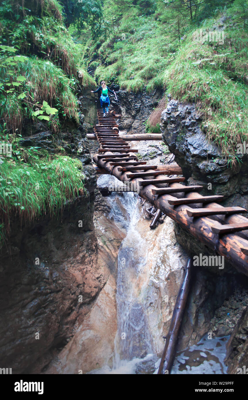 Back of one young woman on a wooden ladder in Sucha Bela canyon ...