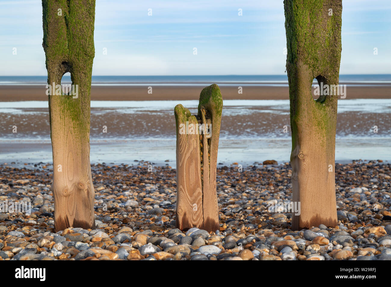 Old wooden groynes in the shingle on Rye Harbour Nature Reserve beach ...