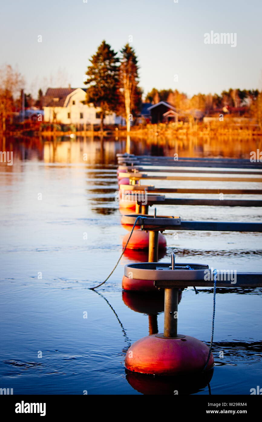 River running slowly by Stock Photo - Alamy