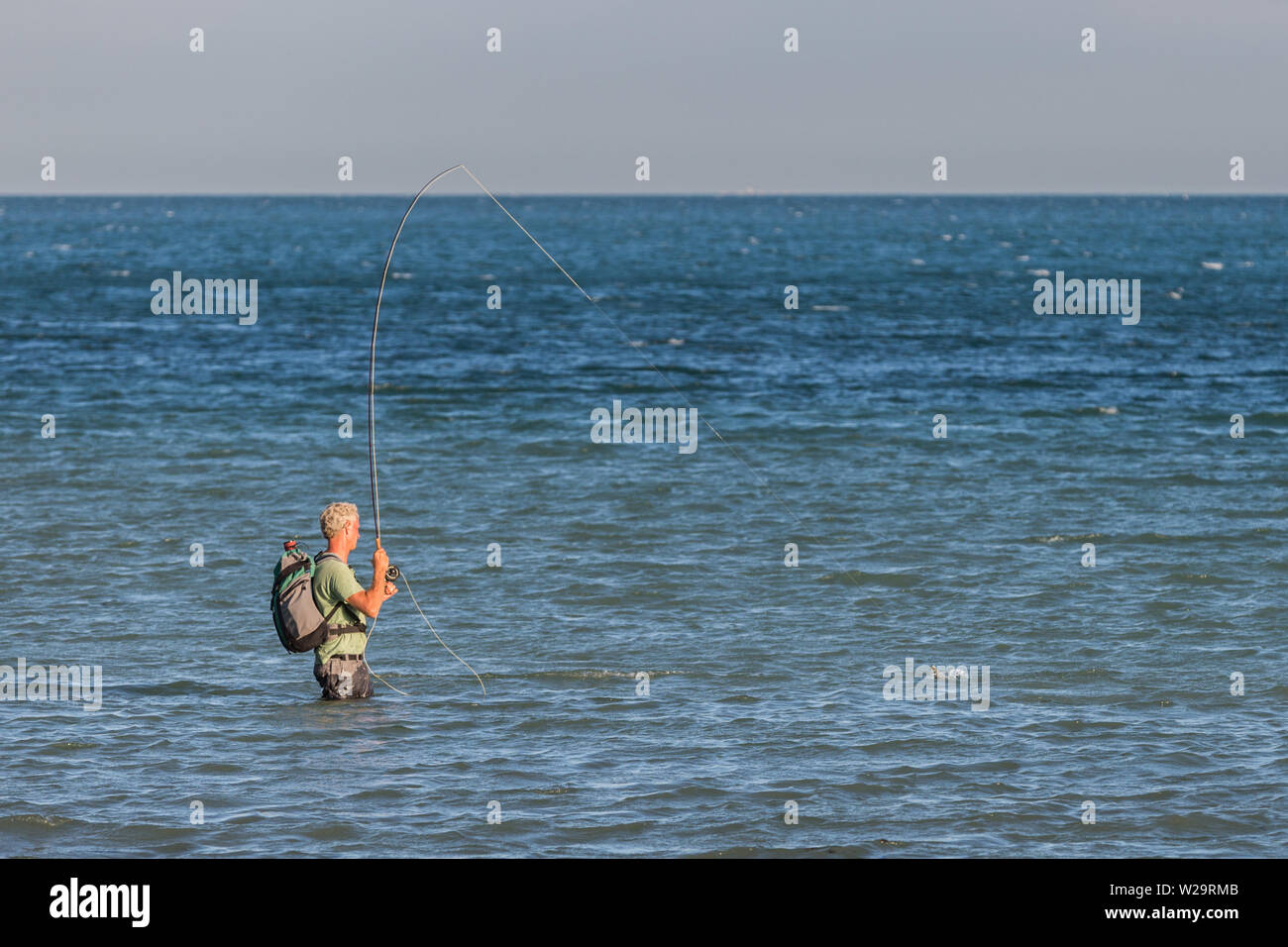 Fly fishing in salt water Stock Photo - Alamy
