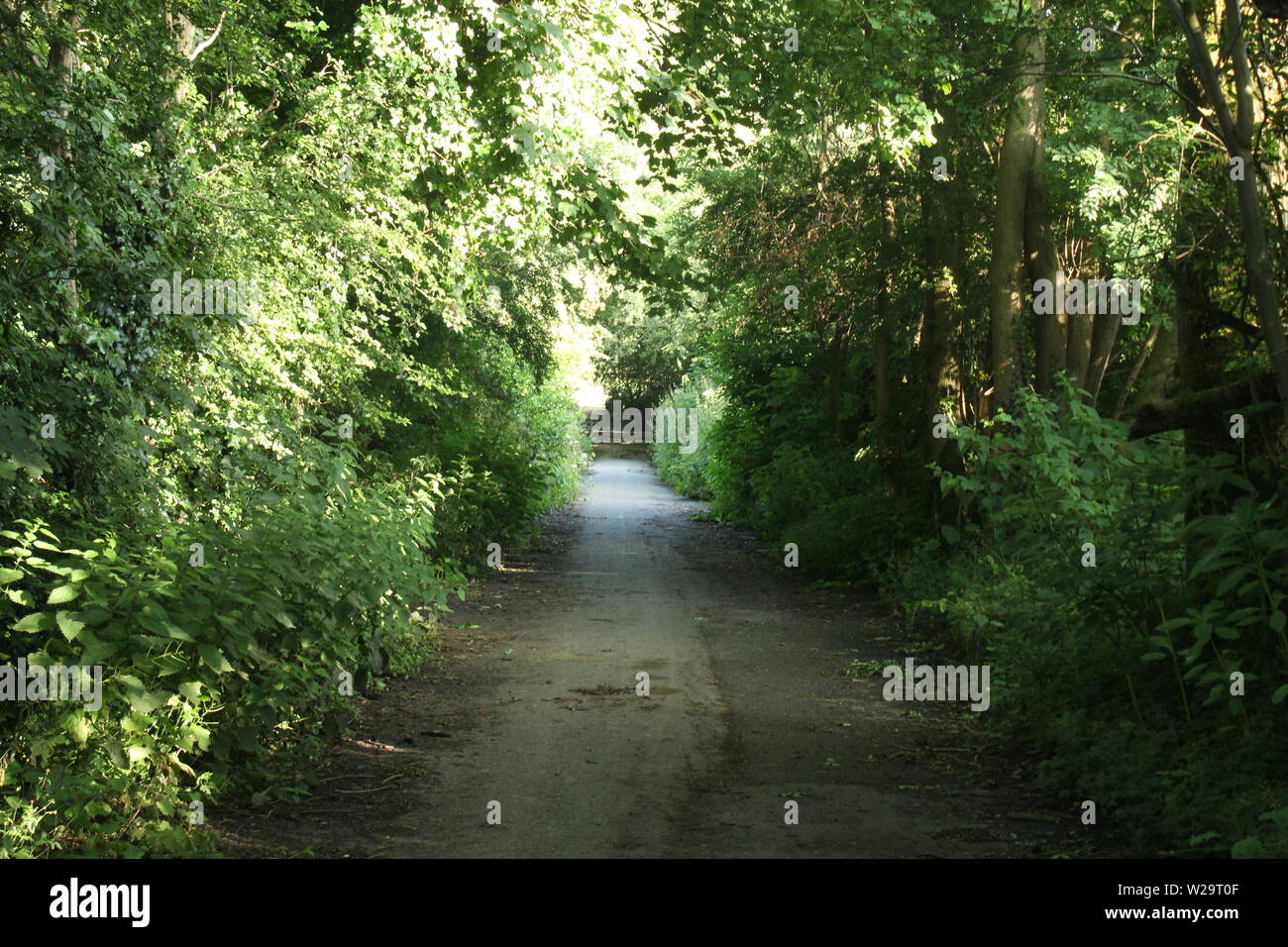 Sunny pathway hi-res stock photography and images - Alamy