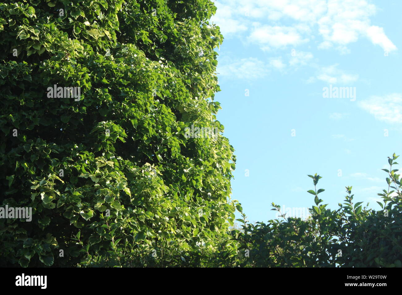 Tall and large hi-res stock photography and images - Alamy