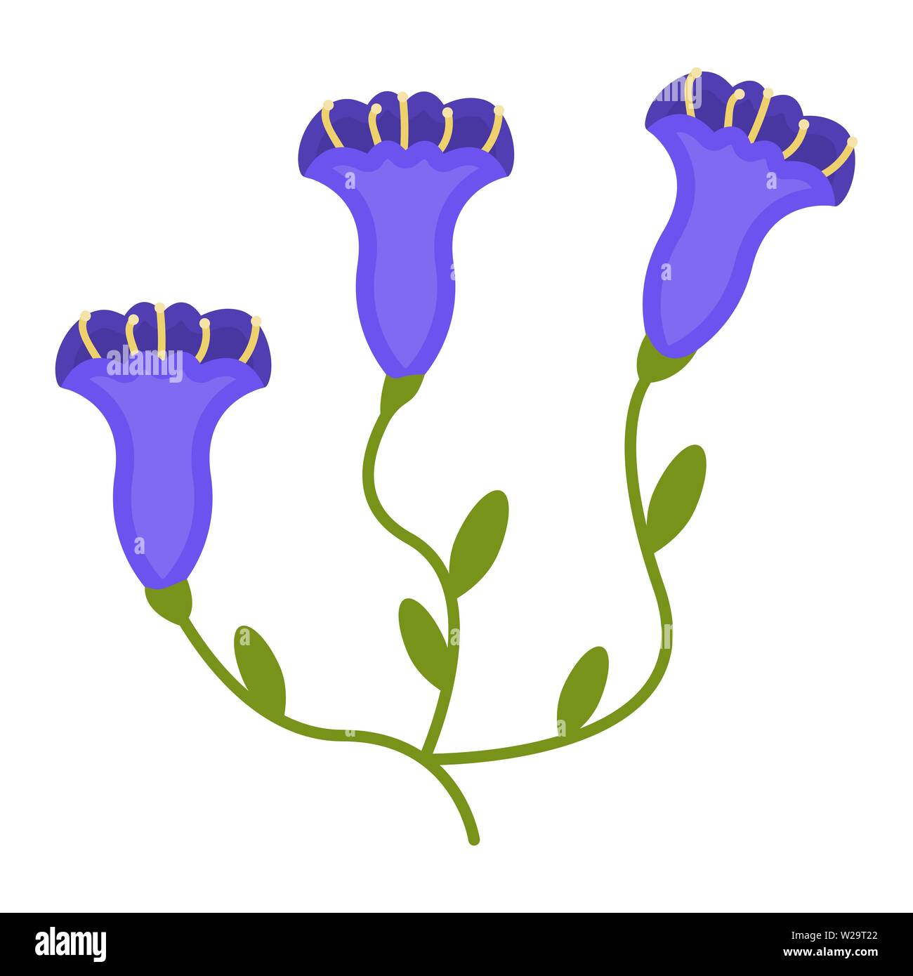 Spring gentian illustration Stock Vector Images - Alamy