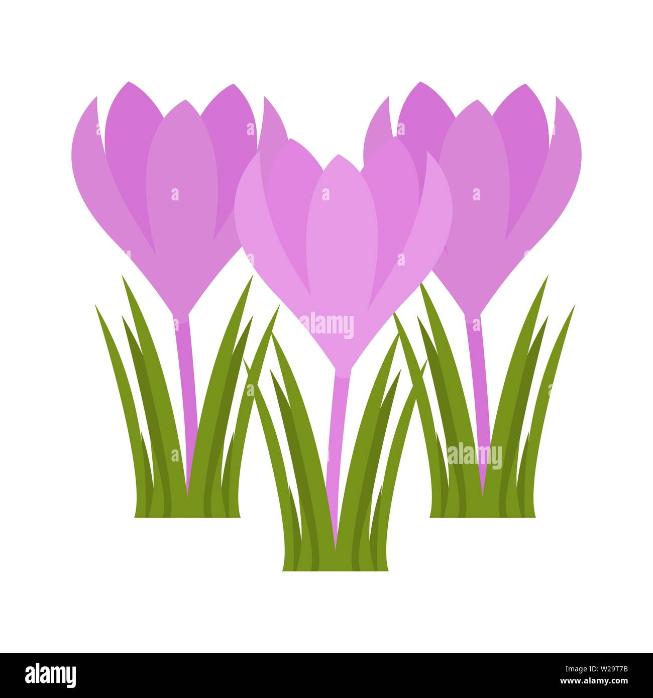 Crocus flower flat icon, wild flowers, plant vector illustration ...