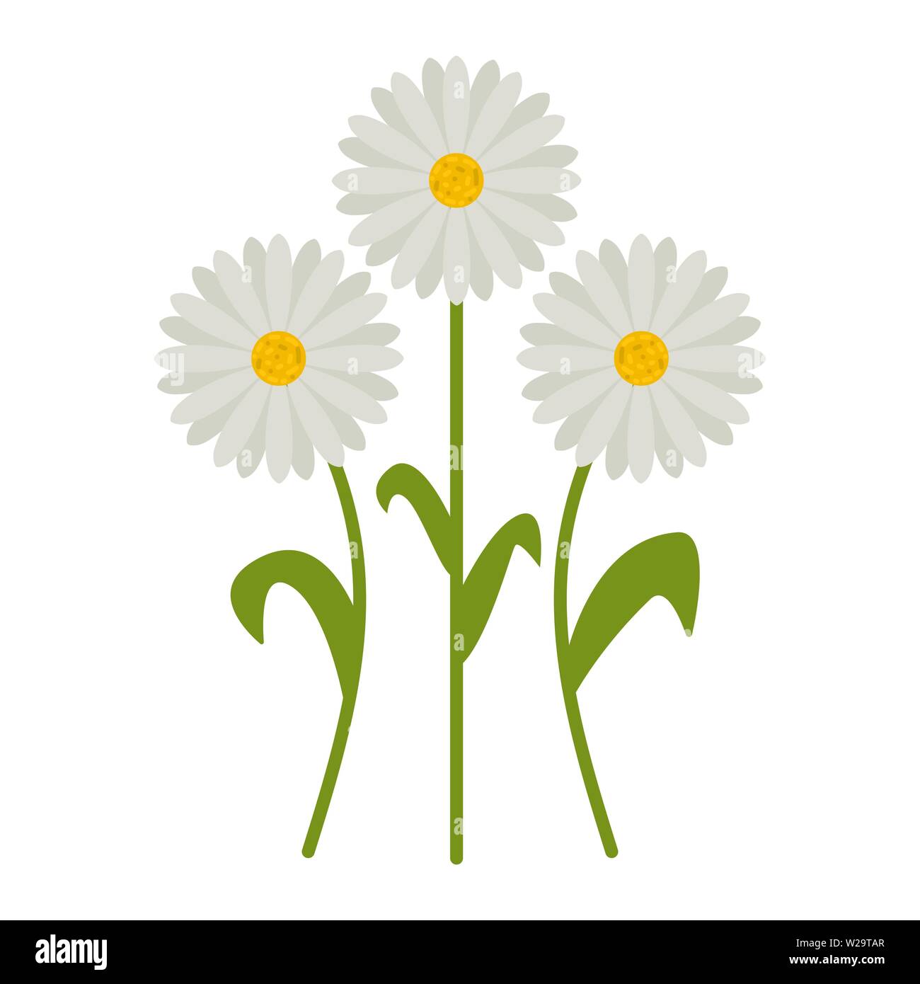White Daisy Flower Clipart Cartoon
