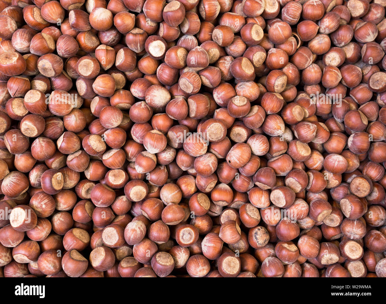 Background and pattern of raw peeled hazelnuts hi-res stock photography ...
