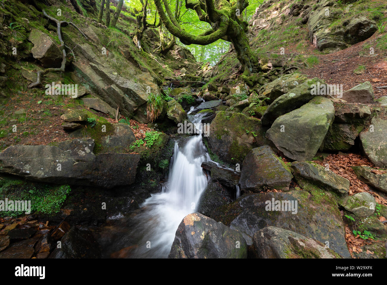 Gorbea national park hi-res stock photography and images - Alamy