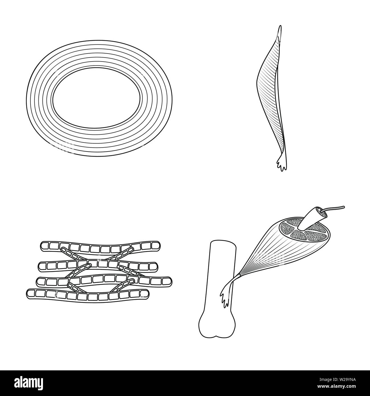 Vector design of fiber and muscular logo. Set of fiber and body stock ...