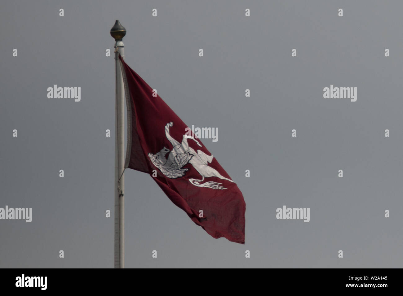 Surrey county cricket club flag at the kia oval hi-res stock ...