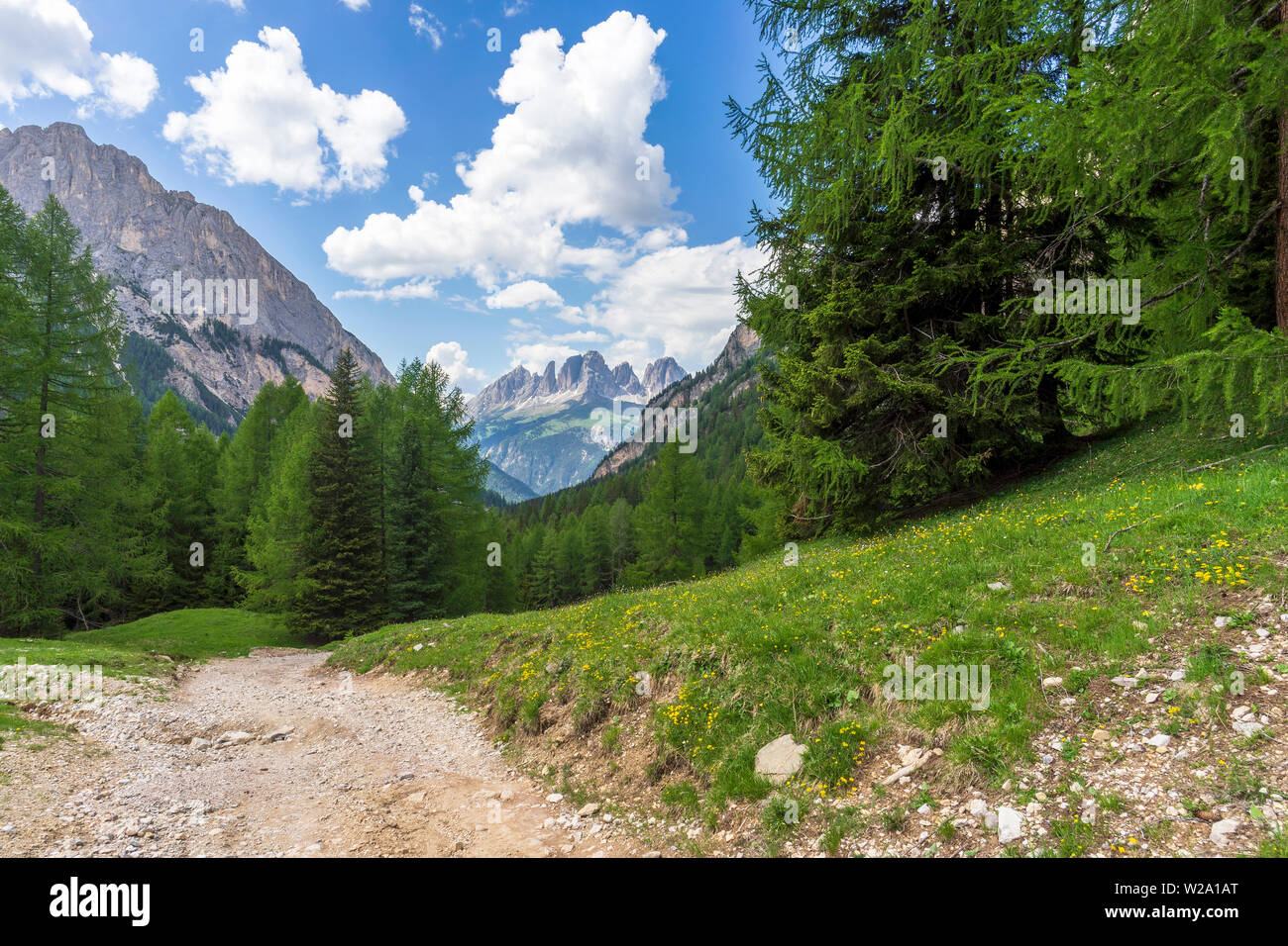 Mountain trail in Val Contrin. Dolomites. Italy Stock Photo - Alamy
