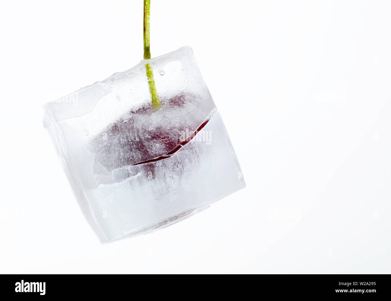 ice cube with a cherry inside on white background, with free space for ...