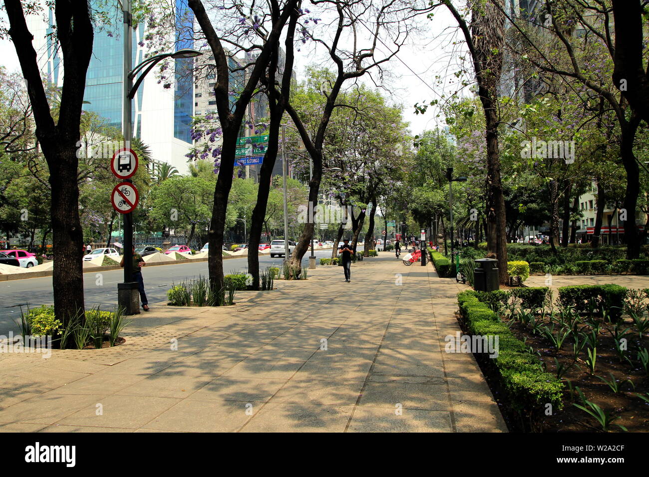 Paseo de la Reforma Avenue, Mexico city Stock Photo - Alamy