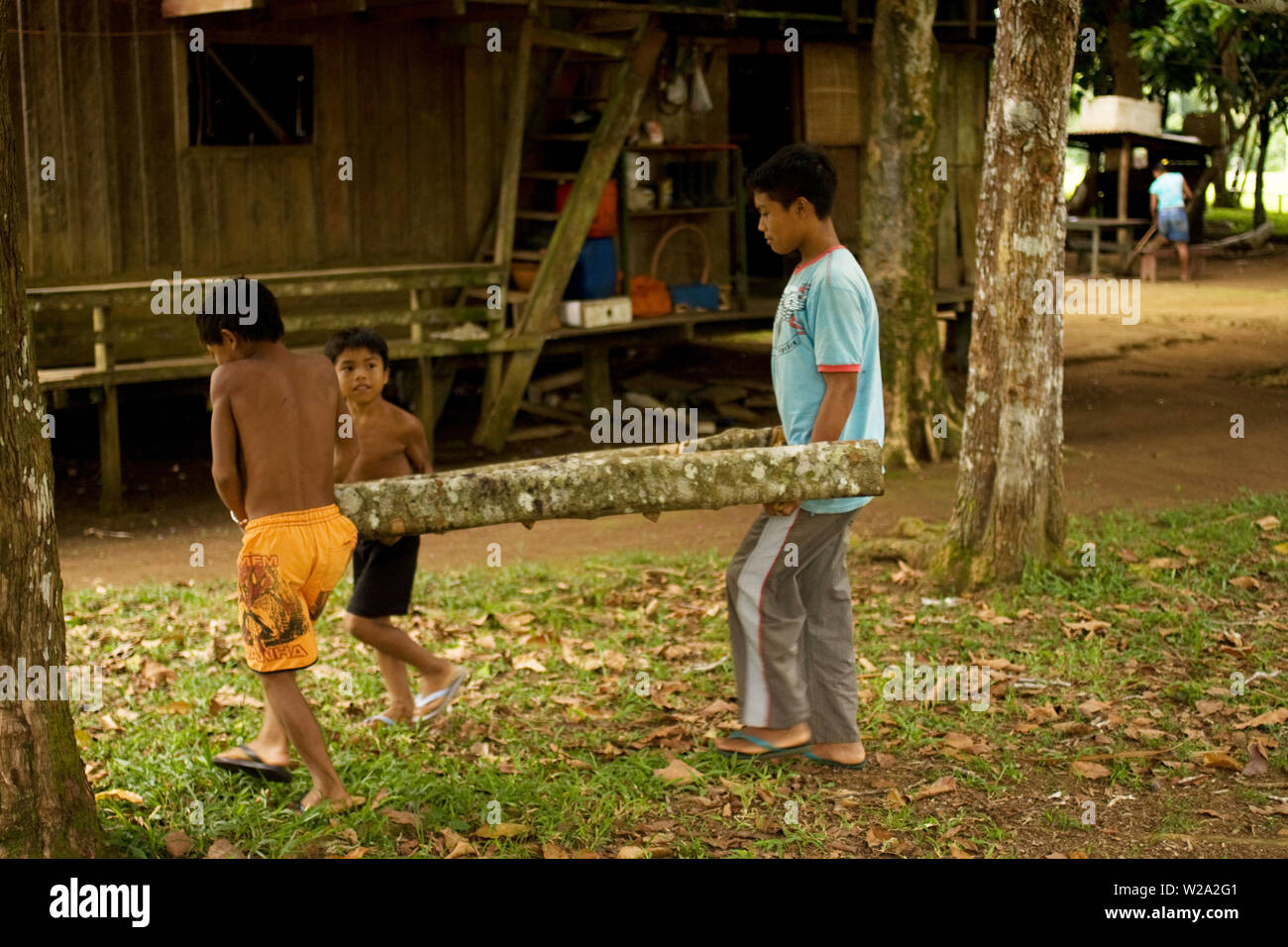 Children Playing, Terra Preta Community, Cuieiras River, Amazônia ...