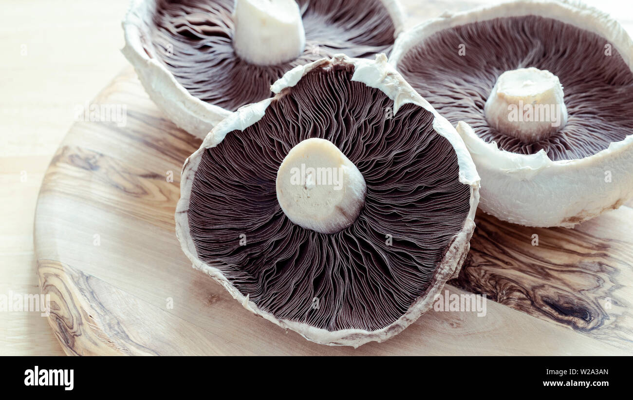 Round fungi hi-res stock photography and images - Alamy