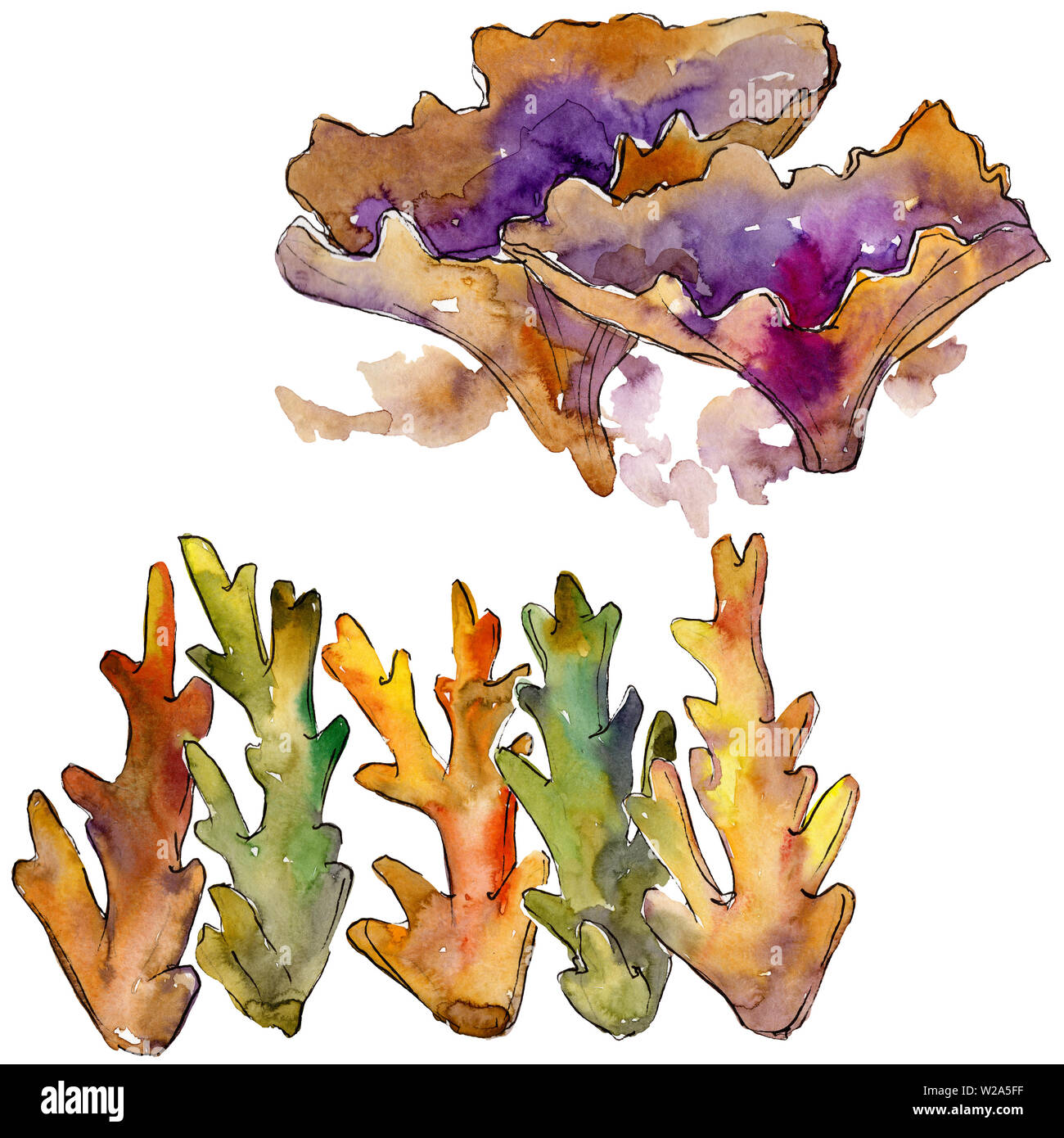 Colorful aquatic underwater nature coral reef. Watercolor background ...