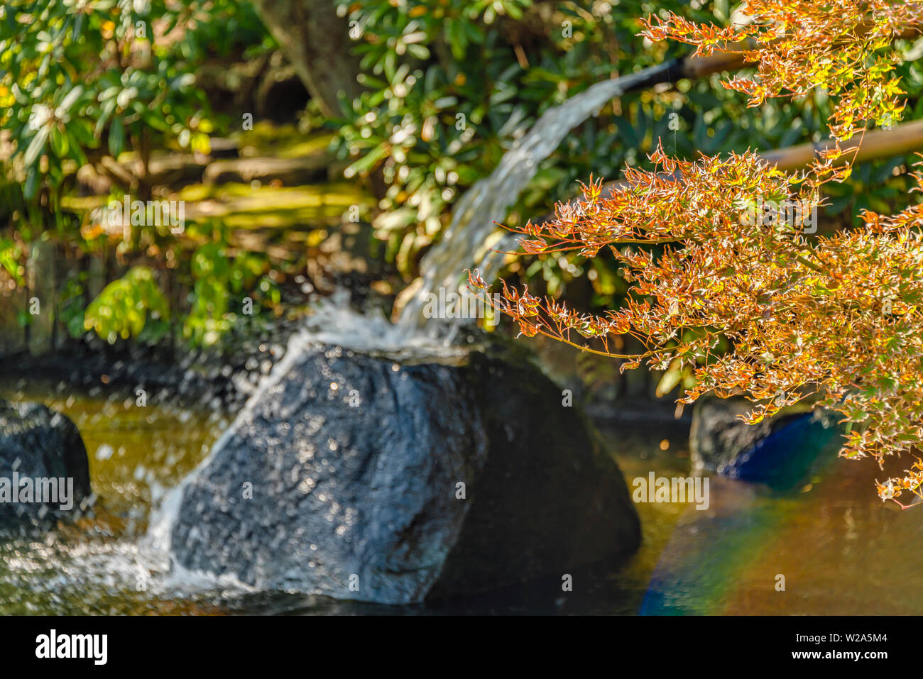 Bamboo Fountain at Hase-dera temple, Kamakura, Kanagawa, Japan Stock ... Bamboo Fountain at Hase-dera temple, Kamakura, Kanagawa, Japan Stock ...