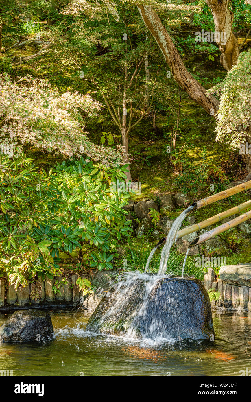 Bamboo Fountain at Hase-dera temple, Kamakura, Kanagawa, Japan Stock ... Bamboo Fountain at Hase-dera temple, Kamakura, Kanagawa, Japan Stock ...