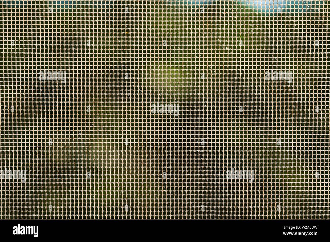 Grid on the window against mosquitoes in sunlight. Abstract background ...