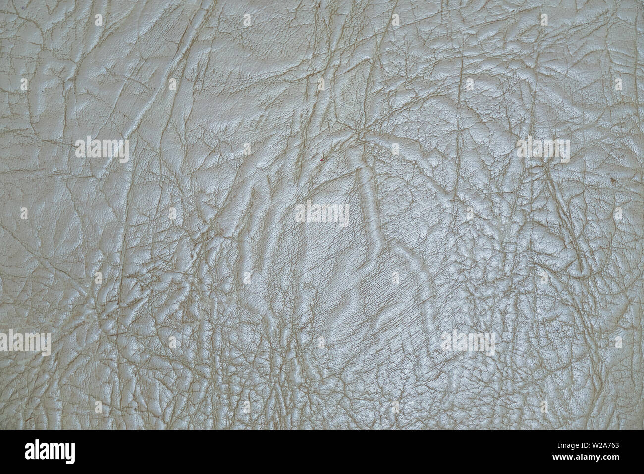 Old white skin texture with folds on surface Stock Photo - Alamy