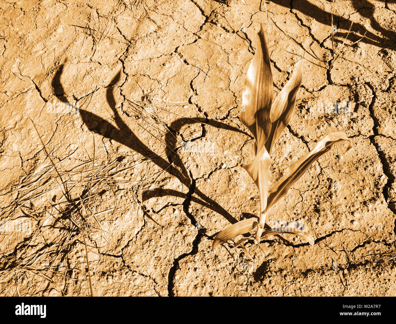 Ferric soil hi-res stock photography and images - Alamy