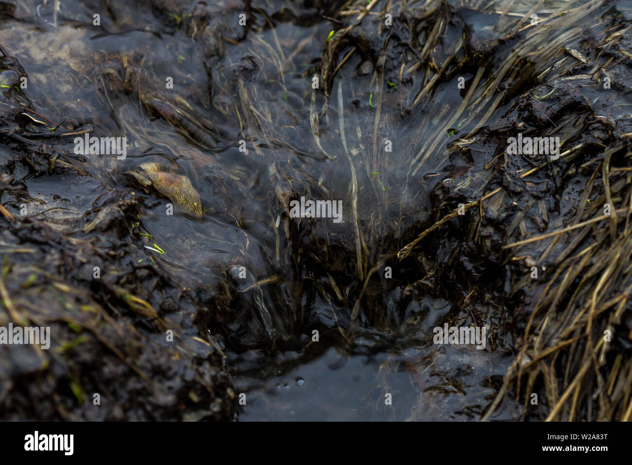 mud in the rain creating mini waterfall and river Stock Photo - Alamy
