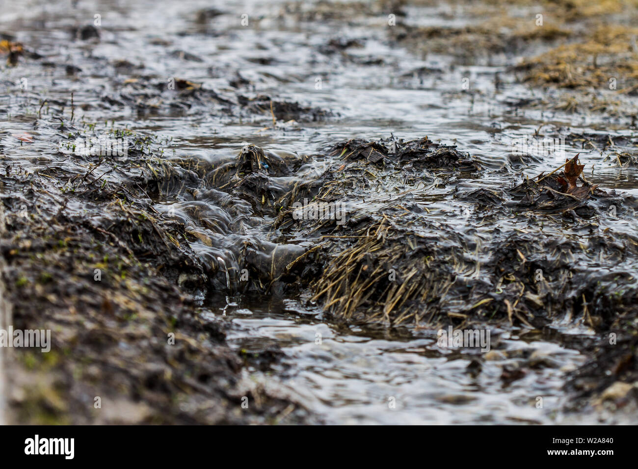 mud in the rain creating mini waterfall and river Stock Photo - Alamy