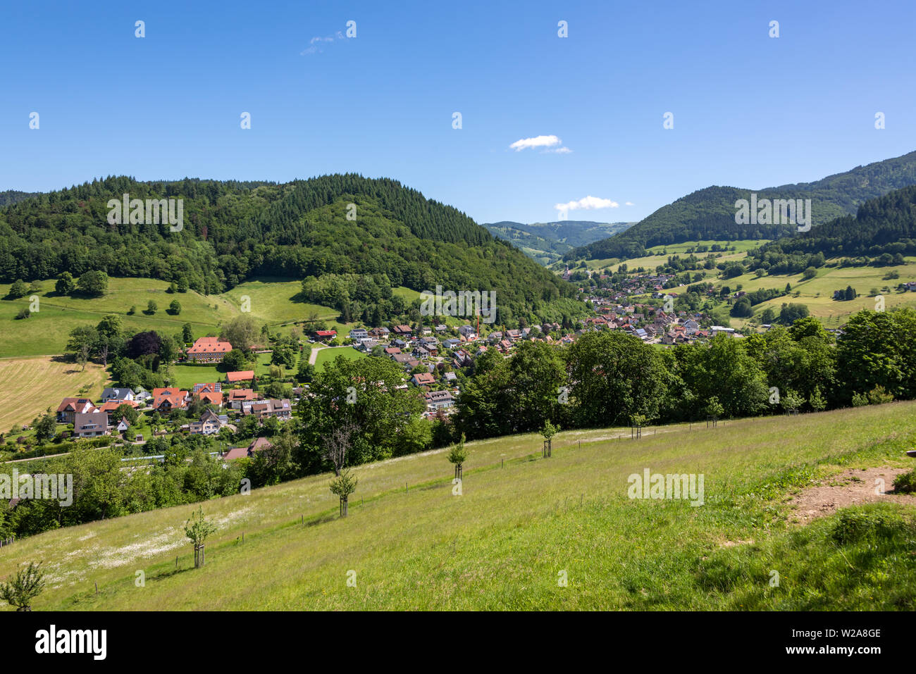 Munstertal valley hi-res stock photography and images - Alamy