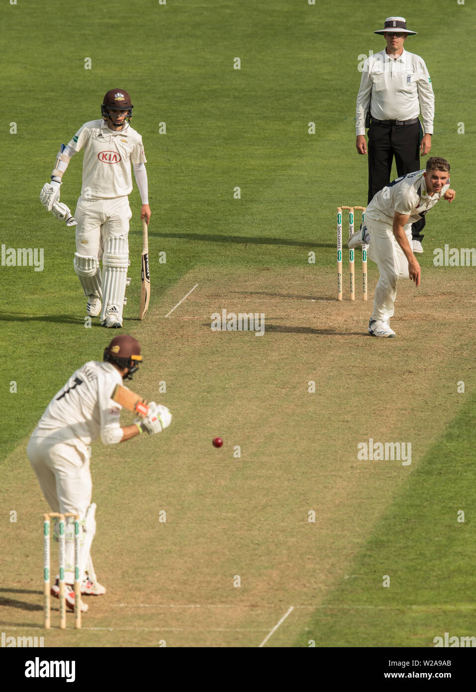 Matthew milnes hi-res stock photography and images - Alamy