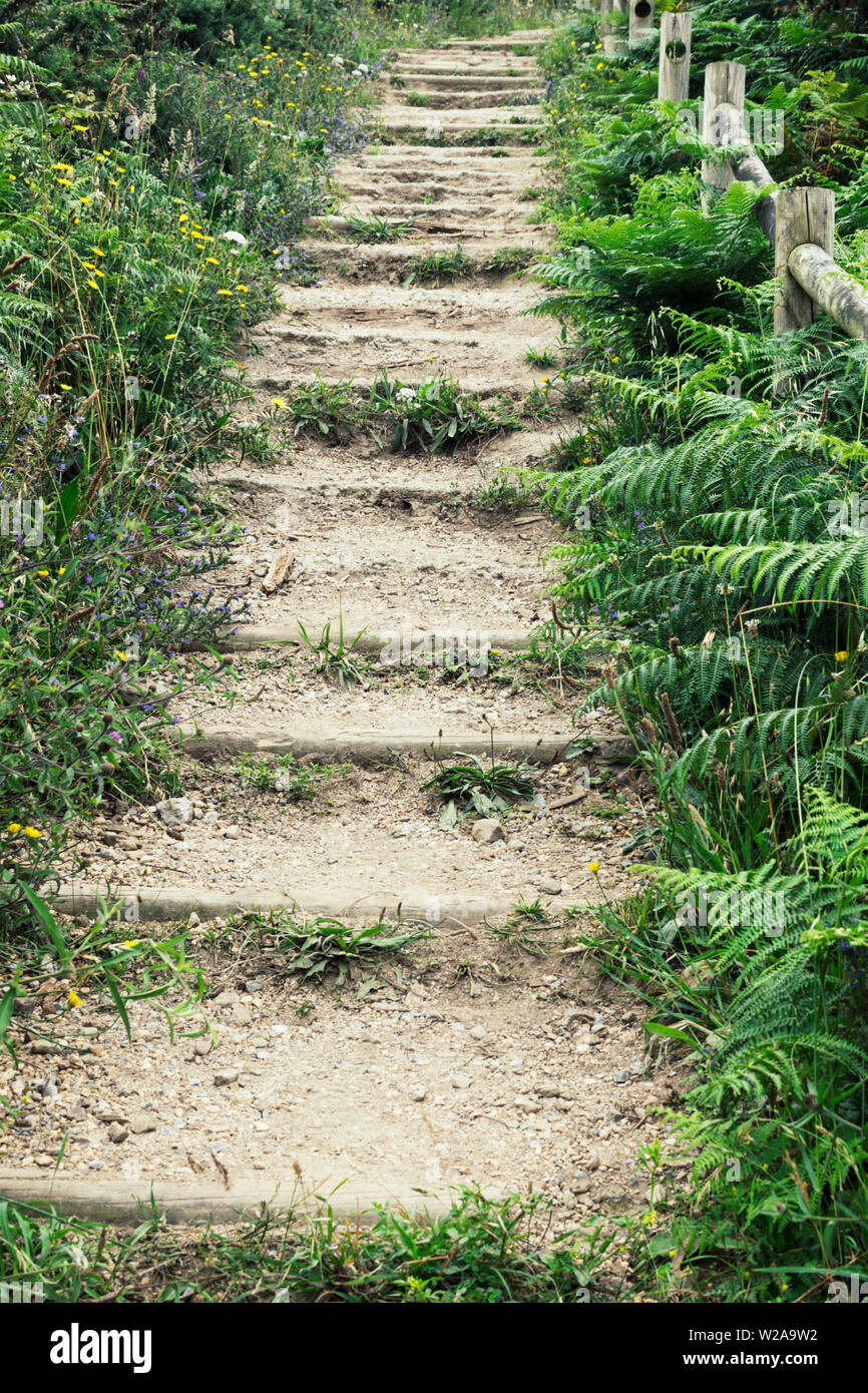 natural stairs in a path Stock Photo - Alamy