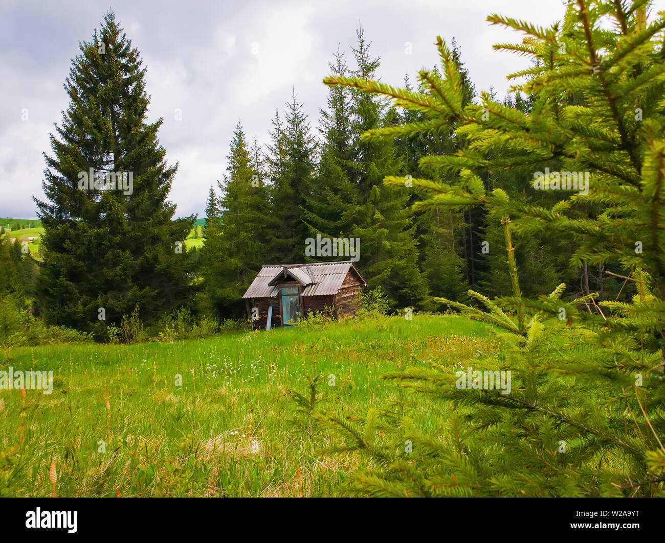Picturesque spring scene with wooden cabin cottage on a lush pasture ...