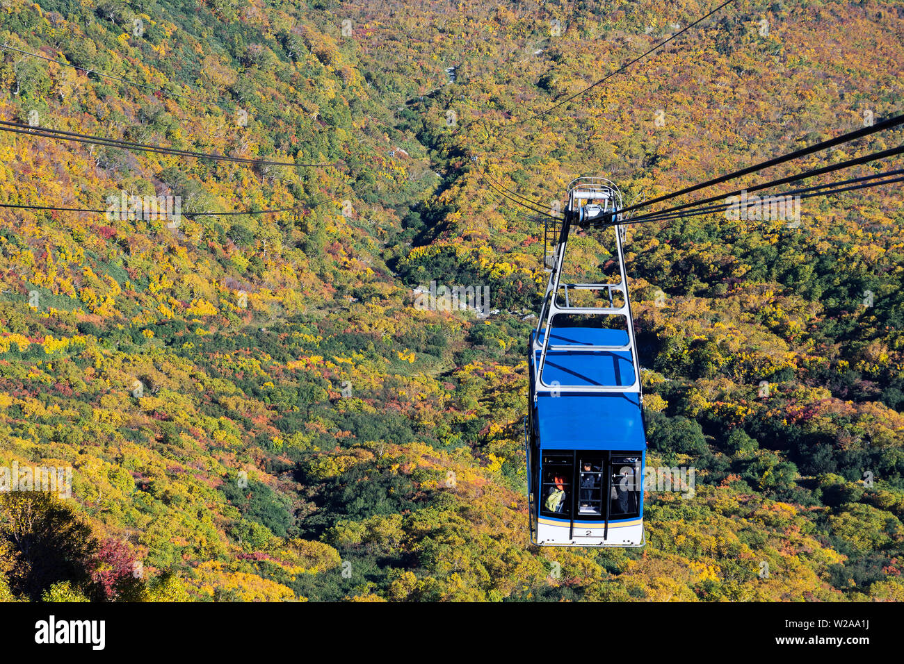 Cable car rope hi-res stock photography and images - Alamy