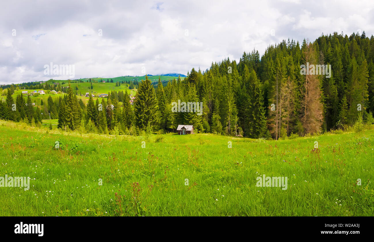 Silent spring hi-res stock photography and images - Alamy
