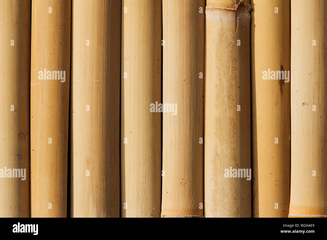 Close up bamboo fence hi-res stock photography and images - Alamy