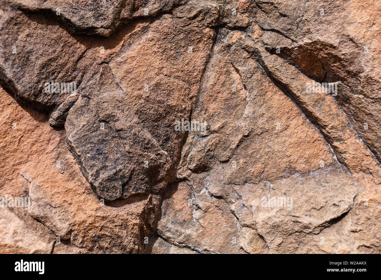 Surface of rock hi-res stock photography and images - Alamy