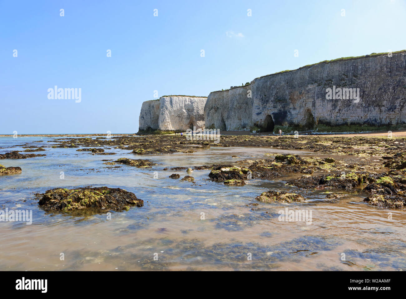 Botany bay beach broadstairs hi-res stock photography and images - Alamy