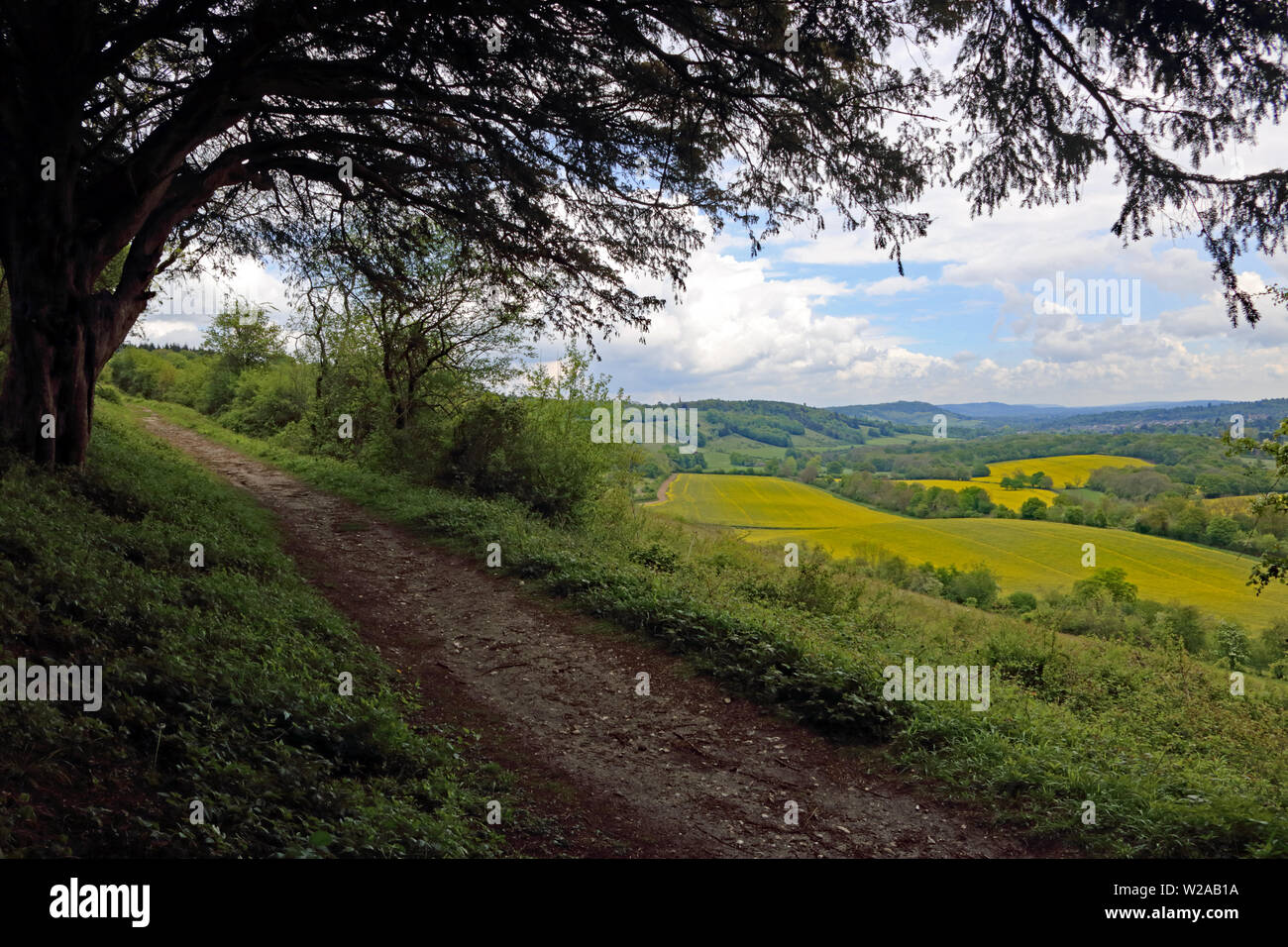 Ranmore Common Stock Photos & Ranmore Common Stock Images - Alamy