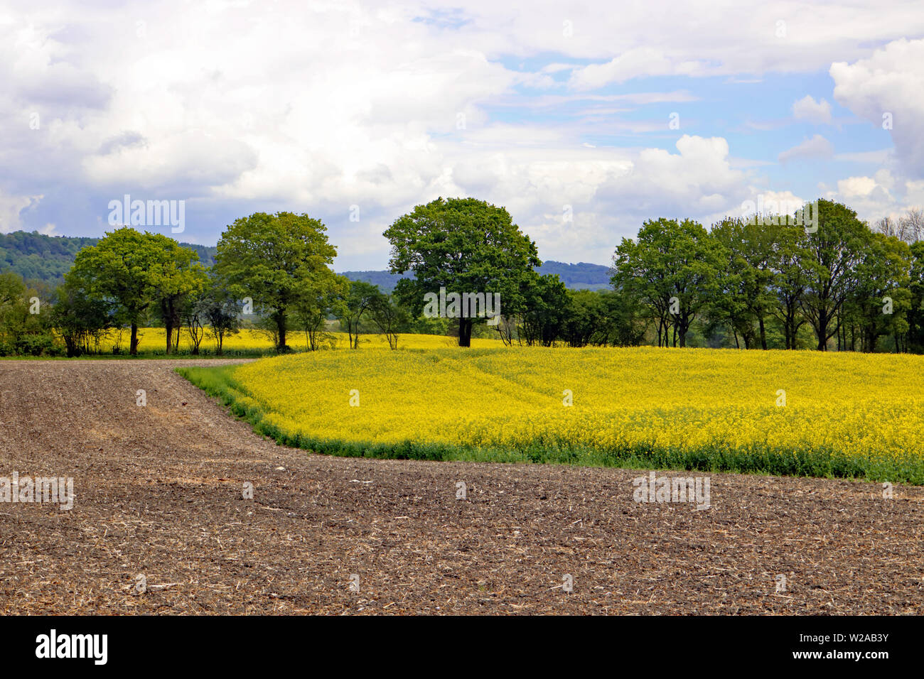 Farmland in the Surrey countryside England UK Stock Photo - Alamy