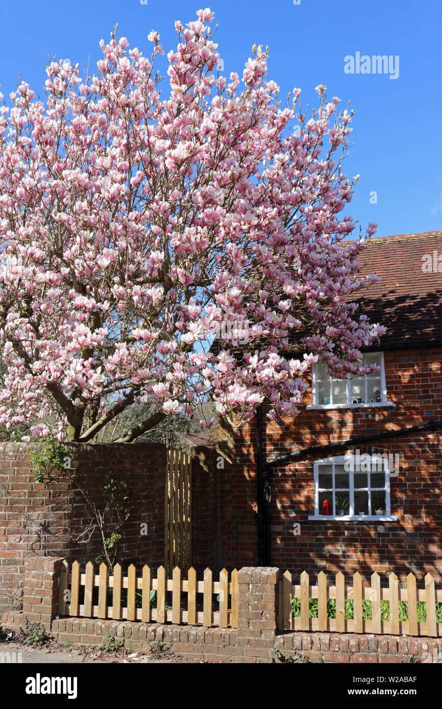 East meon hi-res stock photography and images - Alamy