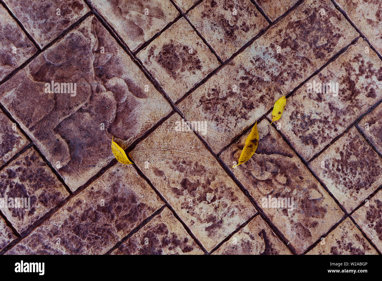 Footpath Surface Outdoor High Resolution Stock Photography and Images ...