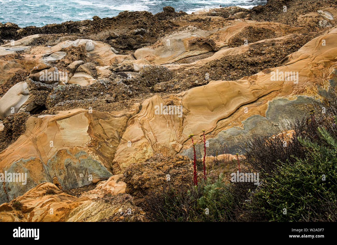 Shapes and textures in layers of rock along the coast in California ...
