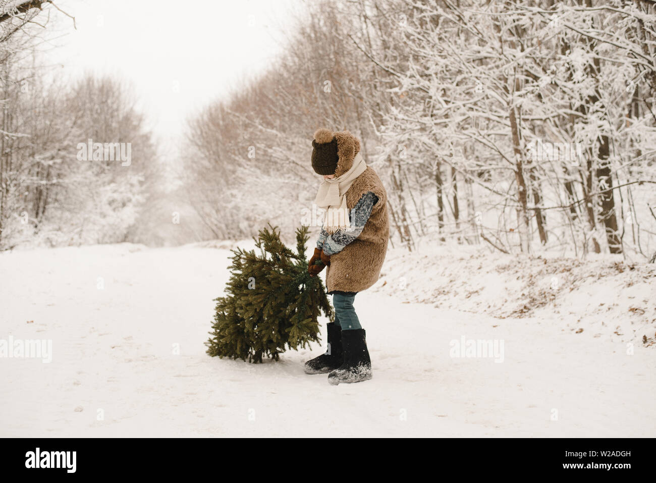 A little boy carries a Christmas tree in an elf costume in a snowy ...