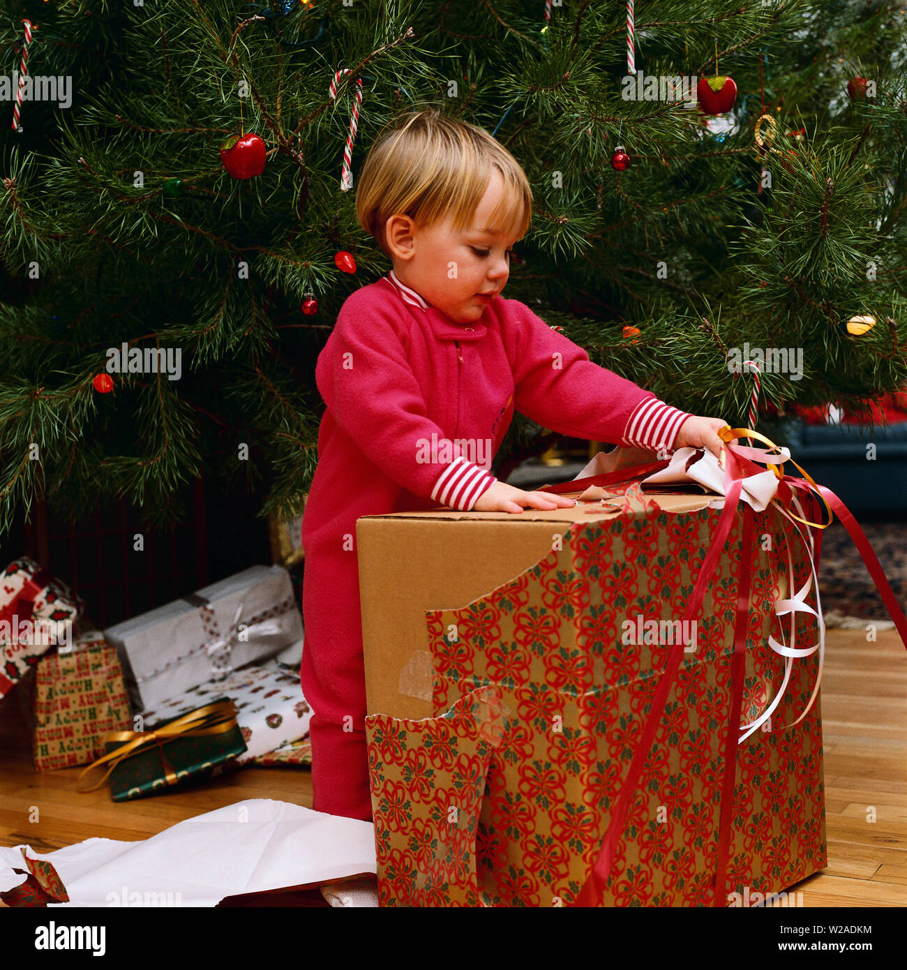 Young boy three years old opening a big wrapped presents for Christmas ...