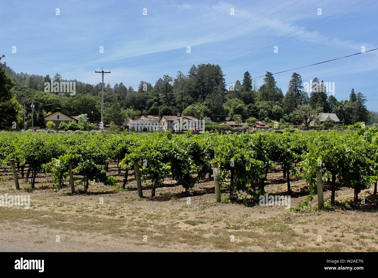 Flora springs estate winery hi-res stock photography and images - Alamy