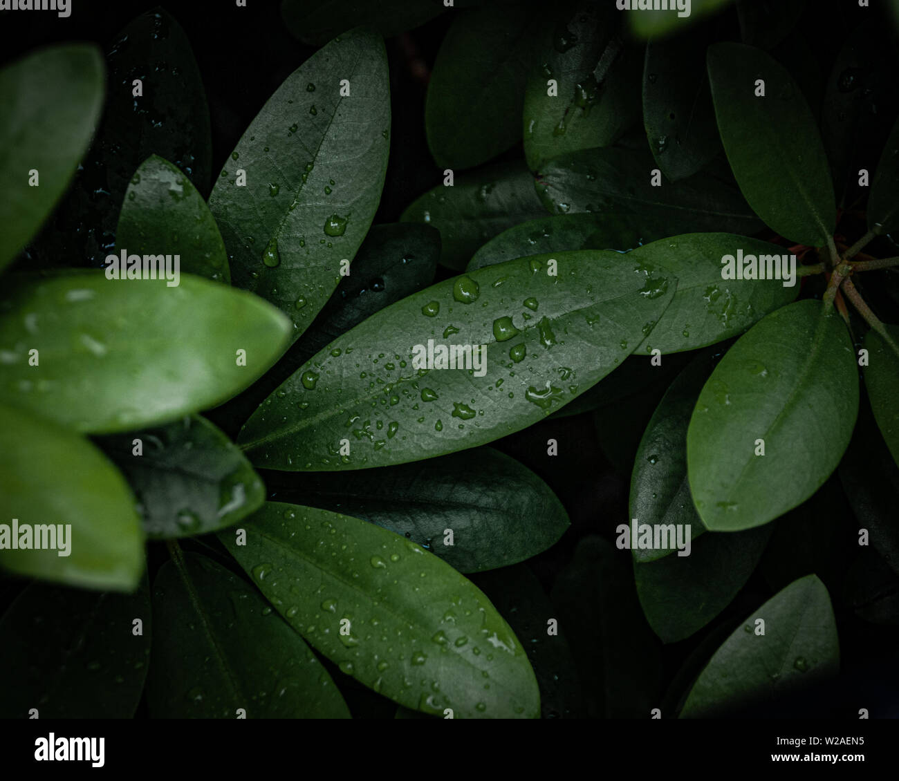 Look closely and you'll see Stock Photo - Alamy