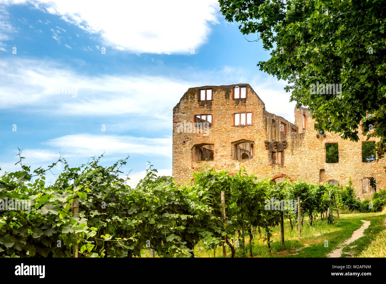 Oppenheim Germany High Resolution Stock Photography and Images - Alamy