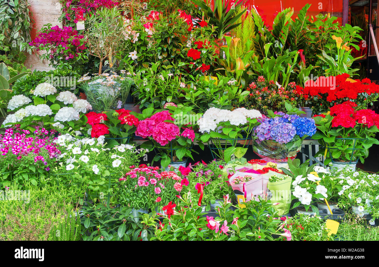 Many different flowers in front of the flower shop Stock Photo - Alamy