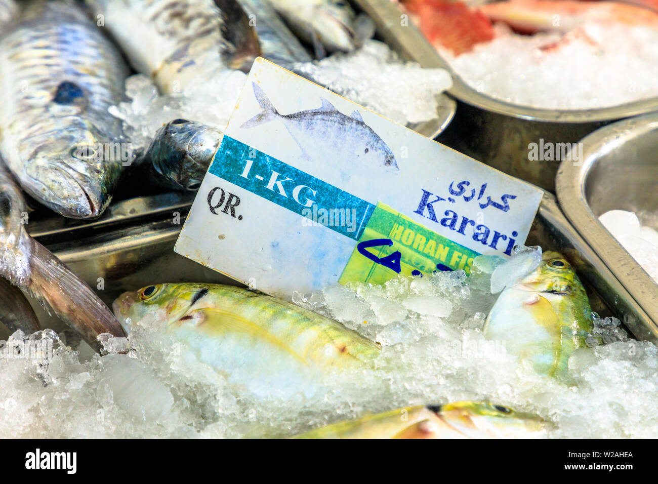 Qatar doha fish market hi-res stock photography and images - Alamy
